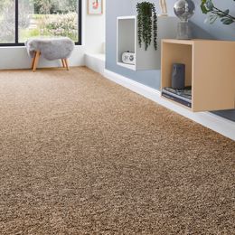 ANDIAMO Teppichboden "Matz, Schlinge, Gesamth&ouml;he 6 mm, Luxusklasse LC1", B : 400cm 1 Stk., L: 200cm, braun, Schlafzimmer, Teppiche, meliert, Breite