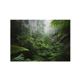 WALLARENA Fototapete Dschungel in Gr&uuml;n | Gr.: 150 x 105 cm