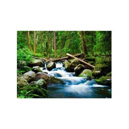 WALLARENA Fototapete Wald in Gr&uuml;n | Gr.: 150 x 105 cm
