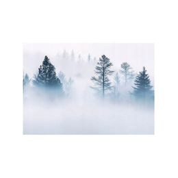 WALLARENA Fototapete Wald in Blau | Gr.: 250 x 175 cm