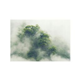 WALLARENA Fototapete Wald in Gr&uuml;n | Gr.: 150 x 105 cm