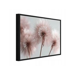 WALLARENA Bild mit Rahmen L&ouml;wenzahn in Rosa | Gr.: 40 x 30 cm