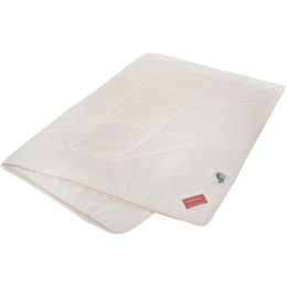 Naturfaserbettdecke Hefel, B:135cm L:200cm, beige, Bezug: 100% Baumwolle. F&uuml;llung: 100% Lyocell (TENCEL ), Bettdecken, "Bio-Timber, 135x200 cm und