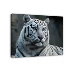 WALLARENA Leinwandbild Tiger in Wei&szlig; | Gr.: 40 x 30 cm