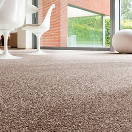 ANDIAMO Teppichboden "Rubinoy, Schlinge, Gesamth&ouml;he 8,5 mm, Luxusklasse LC2", B : 400cm 1 Stk., L: 400cm, braun, Schlafzimmer, Teppiche, Breite 400