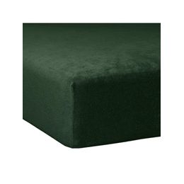 Traumschlaf Spannbettlaken Flausch Biber Boxspring in tanne | Gr.: 90x190 cm - 100x200 cm