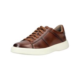 Pius Gabor Herren Sneaker "Pius Gabor Sneaker Glattleder", Gr. 43cognac, Glattleder, Schuhe