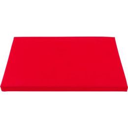 Sch&auml;fer Shop Sch&auml;fer Shop Pure Sitzkissen f&uuml;r Auflagedeckel und Scharnierdeckel Serie Economy 600 x 400 mm, Schaumstoff, rot