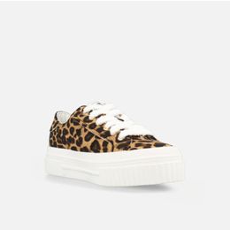 O`Neill O'NEILL Damen Sneaker "SPINNA C WOMEN LOW", Gr. 37leopard, Synthetik, Schuhe, mit Leo Muster