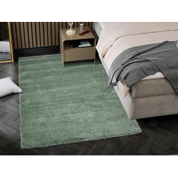 Hochflor-Teppich, B:200cm H:45mm L:250cm, gr&uuml;n, OCI DIE TEPPICHMARKE, Obermaterial: 100% Polypropylen, Teppiche, "MONTIS", uni, Langflor, Shaggy,