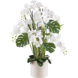 Kunstorchidee Creativ green, H:120cm, beige, Kunststoff, Kunstpflanzen, "Orchidee Phalaenopsis", mit Gr&auml;sern und Splitphilo-Bl&auml;ttern