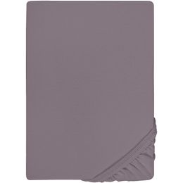 Spannbettlaken Biberna, grau, Jersey-Elasthan, Obermaterial: 95% Baumwolle, 5% Elasthan, Bettlaken, "Conny", hochwertiges Jersey-Elasthan geeignet
