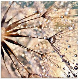 Glasbild Artland, B:30cm H:30cm, wei&szlig;, K&uuml;che, Bilder, "Pusteblume - Kisses from rain", in verschiedenen Gr&ouml;&szlig;en