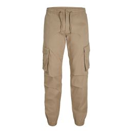 Jack & Jones JACK & JONES Cargo Pants 'JPSTKane JJNoah' male size 31/32 Sand