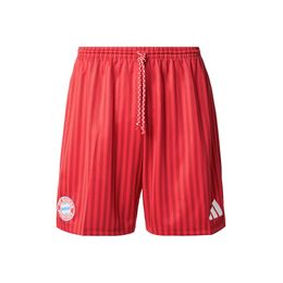 adidas Performance Shorts 'Stadium' Herren Gr&ouml;&szlig;e L rot / bordeaux