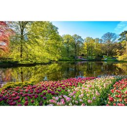 papermoon Fototapete &raquo;GARTEN-BLUMEN B&Auml;UME PFLANZEN STEINE WALD PARK BL&Uuml;TEN&laquo; bunt Vlies B/L: 3m x 2,23m, Bahnen: 6 Stk.