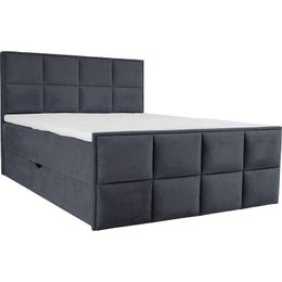 Home Affaire Boxspringbett &raquo;Timeo&laquo; in den Breiten 120,140,160 & 180 cm erh&auml;ltlich grau Holz teilmassiv Samtvelours Holz teilmassiv, Liegefl&auml;che B/L: 