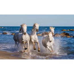 papermoon Fototapete &raquo;Camargue-Pferde&laquo; bunt Vlies B/L: 1,5m x 1,11m, Bahnen: 7 Stk.