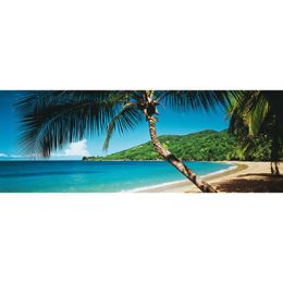 papermoon Fototapete &raquo;Palm Beach Panorama&laquo; matt bunt Vlies B/L: 3,5m x 1m