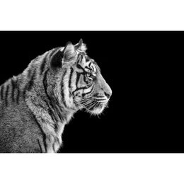 papermoon Fototapete &raquo;TIGER-L&Ouml;WE PUMA GEPARD JAGUAR SCHWARZ WEI&szlig; WANDBILD XXL&laquo; bunt Vlies B/L: 4m x 2,6m, Bahnen: 8 Stk.