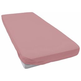 Estella Spannbettlaken &raquo;Jersey Topper aus Baumwolle mit Elasthan&laquo; f&uuml;r Topper bis 10 cm H&ouml;he lila Jersey, Obermaterial: 97% Baumwolle, 3% Elasthan B/L: 200cm, 
