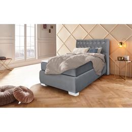 LEONIQUE Boxspringbett &raquo;Rumba&laquo; Taschenfederkern-Matratze in H&auml;rtegrad 3, in 4 Breiten, incl. Topper grau Samtoptik (100% Polyester) Liegefl&auml;che B/L: 90cm x 