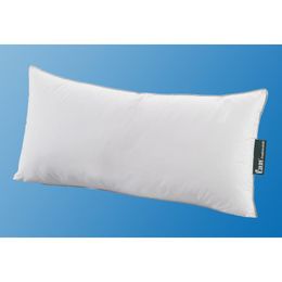 f.a.n. fan Kopfkissen &raquo;DACRON Suprelle Memory&laquo; F&uuml;llung: Mit F&uuml;llung 1 Stk. tlg. optimal druckentlastend und federweich wei&szlig; B/H/L: 80cm x 10cm x 40cm, 