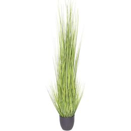 Kunstgras &raquo;Gras Festuca&laquo; gr&uuml;n Kunststoff &Oslash;/H: 55cm x 150cm, 1 Stk.