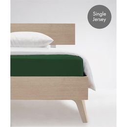 Fleuresse Spannbettlaken &raquo;Jenny C aus feinf&auml;digem Mako-Jersey&laquo; f&uuml;r Matratzen bis 23 cm H&ouml;he gr&uuml;n Mako-Jersey, Obermaterial: 100% Baumwolle B/L: 120cm 