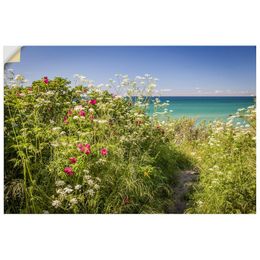 Artland Wandbild &raquo;Fr&uuml;hling an der K&uuml;ste in Ahrenshoop&laquo; 1 Stk. tlg. als Alubild, Leinwandbild, Poster, Wandaufkleber in verschied. Gr&ouml;&szlig;en gr&uuml;n B/H/T: 60cm x 