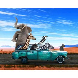 papermoon Fototapete &raquo;Tiere in Auto&laquo; bunt Vlies B/L: 2,5m x 1,86m, Bahnen: 5 Stk.