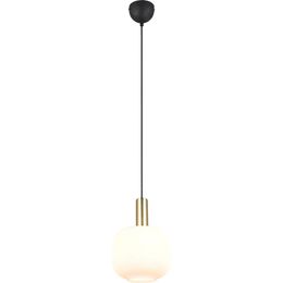Trio Leuchten Pendelleuchte &raquo;DIVA, E27 H&auml;ngelampe 1-flammig mit Glasschirm, exkl 1xE27 max 10W&laquo; E27 1 Stk. warmwei&szlig; - kaltwei&szlig; h&ouml;henverstellbar bis 