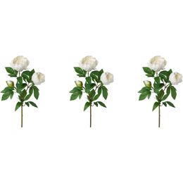 Creativ green Kunstblume &raquo;Peonienzweig&laquo; wei&szlig; Obermaterial: 85% Polyester, 15% Polyethylen B/H/L: 13cm x 70cm, 3 Stk.