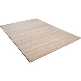 Theko Wollteppich &raquo;Royal Berber Uni&laquo; rechteckig 18 mm H&ouml;he Berber Optik, reine Wolle, ideal im Wohnzimmer & Schlafzimmer beige Schurwolle B : 240cm 1 