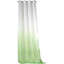 Weckbrodt-Gardinen Vorhang &raquo;Maischa&laquo; &Ouml;sen 1 Stk. tlg. Voile, transparent mit Farbverlauf, Gardine, Store gr&uuml;n Voile, Polyester 245cm, &Ouml;sen, 140cm