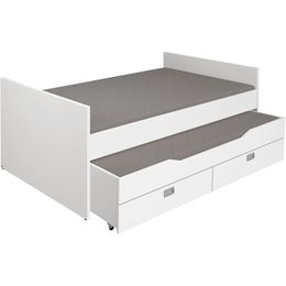 Paidi Einzelbett &raquo;TIAGO in verschiedenen Ausf&uuml;hrungen, Jugendliege mit Bettkasten&laquo; Breite/L&auml;nge: 90x200 cm / 120x200 cm, Kojenbett inklusive 