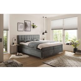 Hapo Boxspringbett &raquo;Neyla erh&auml;ltlich in den Breiten 100, 160, 180 & 200cm&laquo; in verschiedenen Matratzenqualit&auml;ten, H&auml;rtegraden und Farben verf&uuml;gbar grau