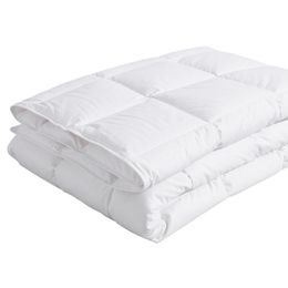 OTTO home Daunenbettdecke &raquo;Nobyn, Bettdecke 135x200 cm und 155x220 cm&laquo; normal F&uuml;llung 60% Daunen und 40% Federn 1 Stk. tlg. Bettdecken, Sommer, Winter