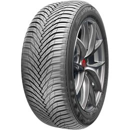 Ganzjahresreifen &raquo;Maxxis&laquo; schwarz