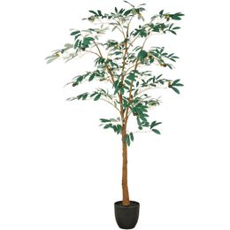 Creativ green Kunstbaum &raquo;Olive&laquo; mit detailgetreuer Gestaltung gr&uuml;n Kunststoff B/H/L: 160cm, 1 Stk.