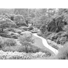 papermoon Fototapete &raquo;Garten Schwarz & Wei&szlig;&laquo; schwarz Vlies B/L: 5m x 2,8m, Bahnen: 10 Stk.