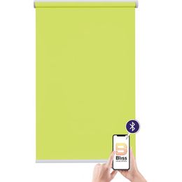 SUNLINES Elektrisches Rollo &raquo;Akkurollo Upcycling appgesteuert, blickdicht, &laquo; blickdicht ohne Bohren appgesteuert via Bluetooth gr&uuml;n Kunststoff, Metall
