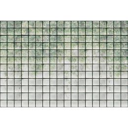 Livingwalls living walls Fototapete &raquo;Walls by Patel Greenhouse&laquo; glatt Vlies, Wand gr&uuml;n Vlies B/L: 4m x 2,7m