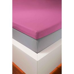 bellana Spannbettlaken &raquo;bellana deluxe f&uuml;r Topper, mit Elasthan, Premium Jersey 230 g/m&sup2;&laquo; mit 5% Elasthan, f&uuml;r Topper mit 4-10cm H&ouml;he, b&uuml;gelfrei, 