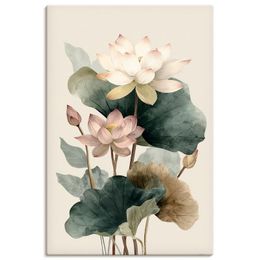 Artland Wandbild &raquo;Lotus&laquo; Blumenbilder 1 Stk. tlg. als Alubild, Leinwandbild, Poster, Wandaufkleber in verschied. Gr&ouml;&szlig;en bunt Leinwand B/H/T: 80cm x 120cm, 