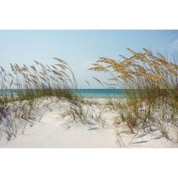 papermoon Fototapete &raquo;Ocean Beach Dunes&laquo; bunt Vlies B/L: 3m x 2,23m, Bahnen: 6 Stk.