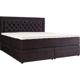Home Affaire Boxspringbett &raquo;Julien&laquo; mit Taschenfederkernmatratze grau 100% Polyester Samtvelours 160x200, Liegefl&auml;che B/L: 160cm x 200cm, H3, Taschen-