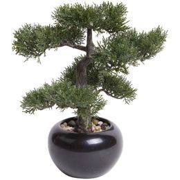 Kunstbonsai &raquo;Ceder Bonsai&laquo; gr&uuml;n Kunststoff &Oslash;/H: 32cm x 34cm, 1 Stk.