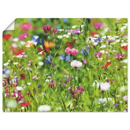 Artland Wandbild &raquo;Blumenwiese I&laquo; Blumenwiese 1 Stk. tlg. als Leinwandbild, Poster in verschied. Gr&ouml;&szlig;en gr&uuml;n B/H/T: 120cm x 90cm, Poster Blumenwiese Querformat
