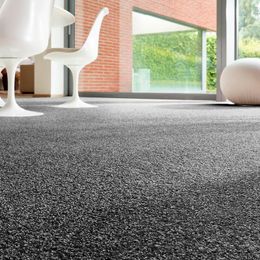 ANDIAMO Teppichboden &raquo;Rubinoy, Schlinge, Gesamth&ouml;he 8,5 mm, Luxusklasse LC2&laquo; rechteckig Breite 400 cm oder 500 cm, Wohnzimmer, strapazierf&auml;hig & robust 